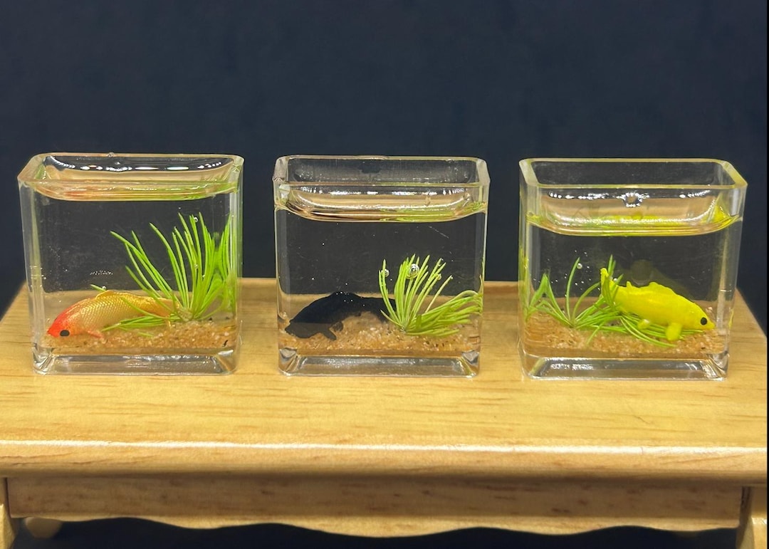 Miniature Fish,miniature Fish Tank,dollhouse Fish Tank,miniature ...