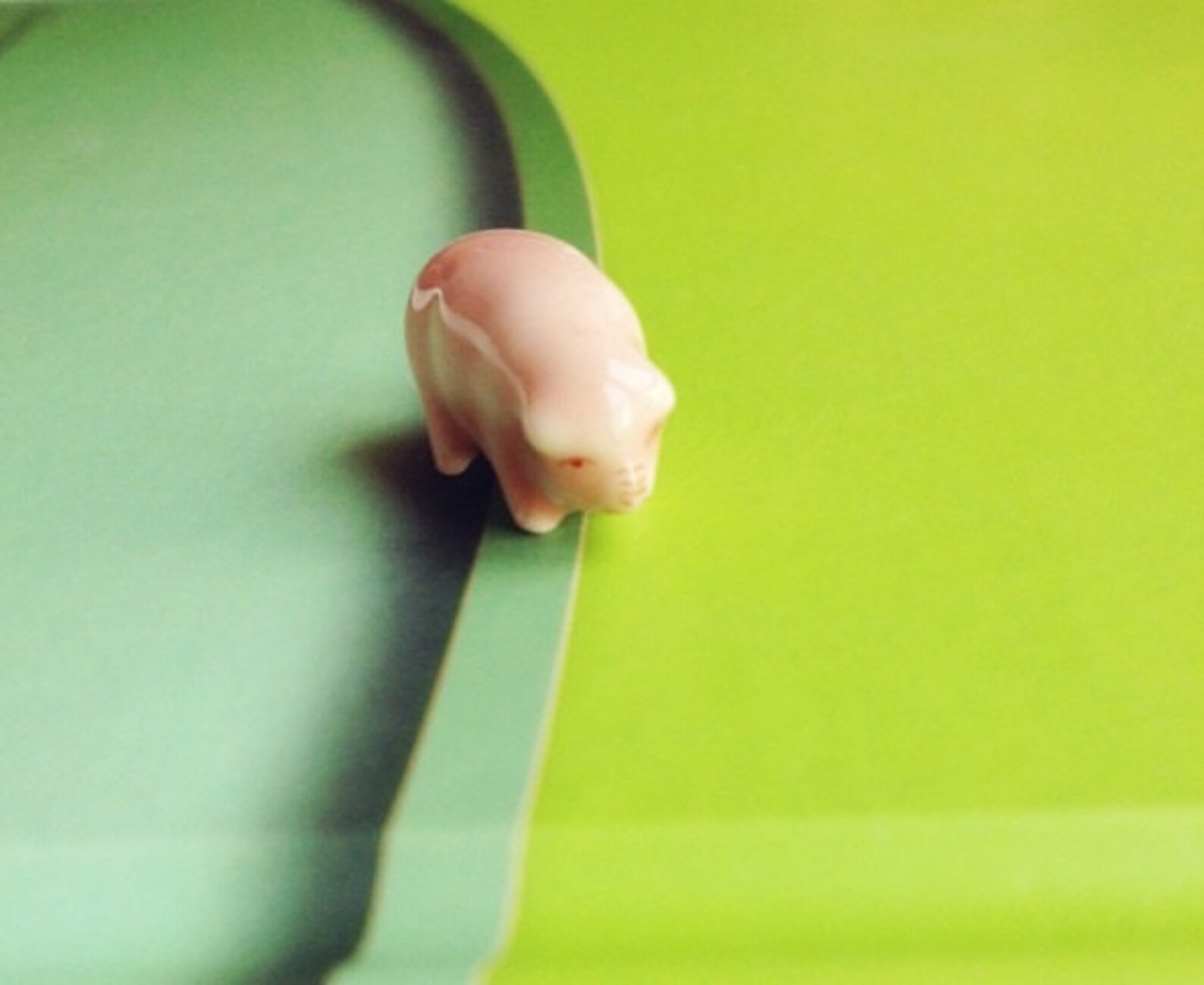 Miniature Pig,miniature Piggy,miniature Animal,tiny Pig,animal ...