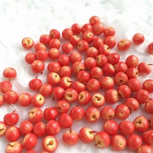 10or20 Pcs.miniature Red Apple,dolls and Miniature,dolls House ...