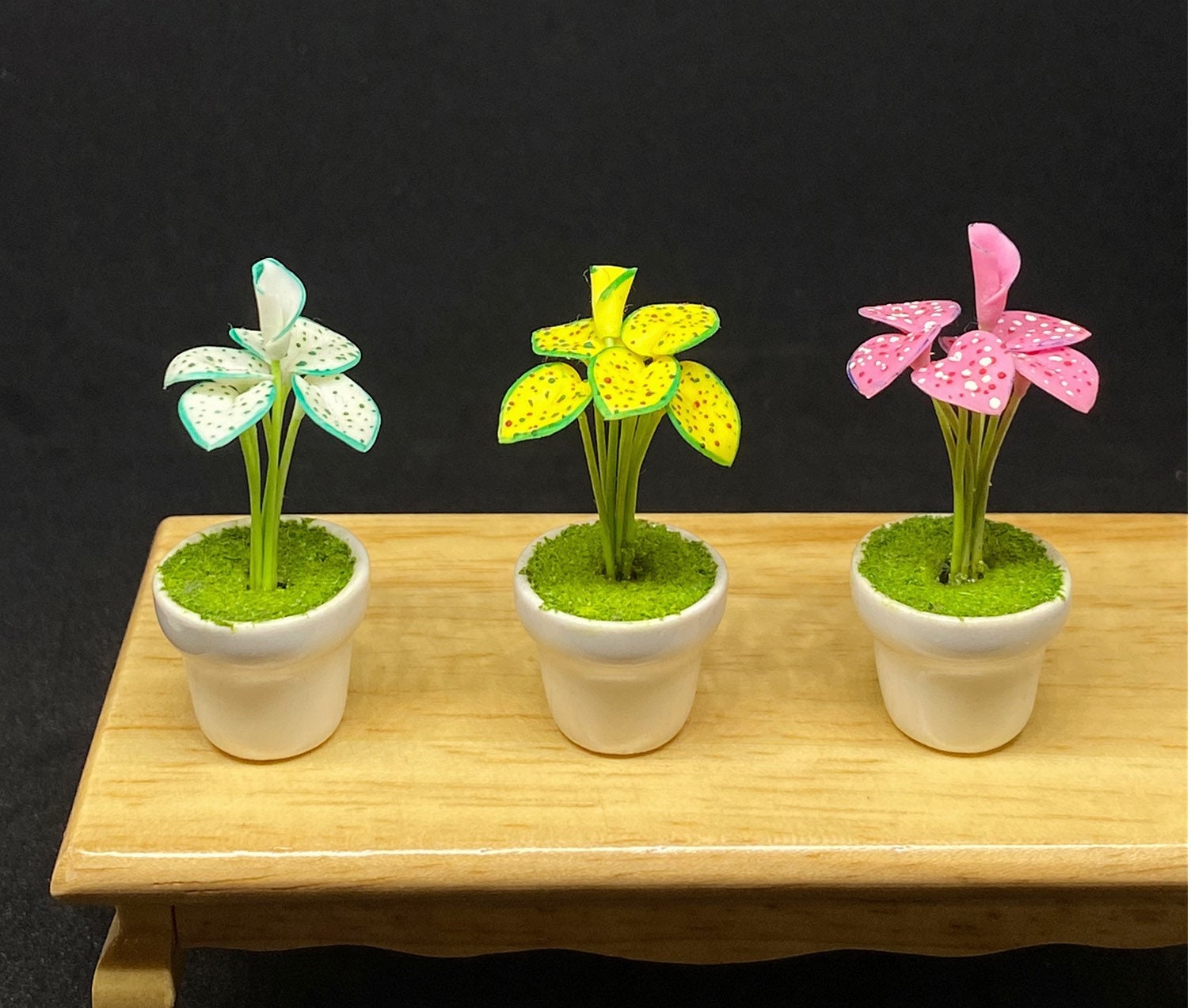 Dolls & Miniatures Art & Collectibles Miniature Plant in Flower Pot ...