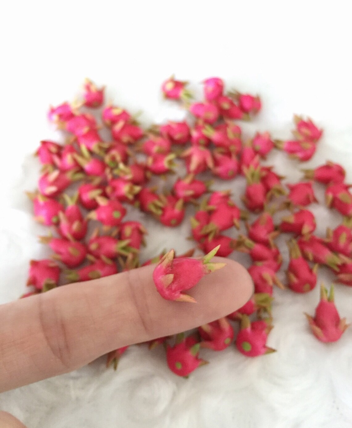 10or20 Pcs.miniature Dragon Fruitminiature Asian Fruitdolls - Etsy