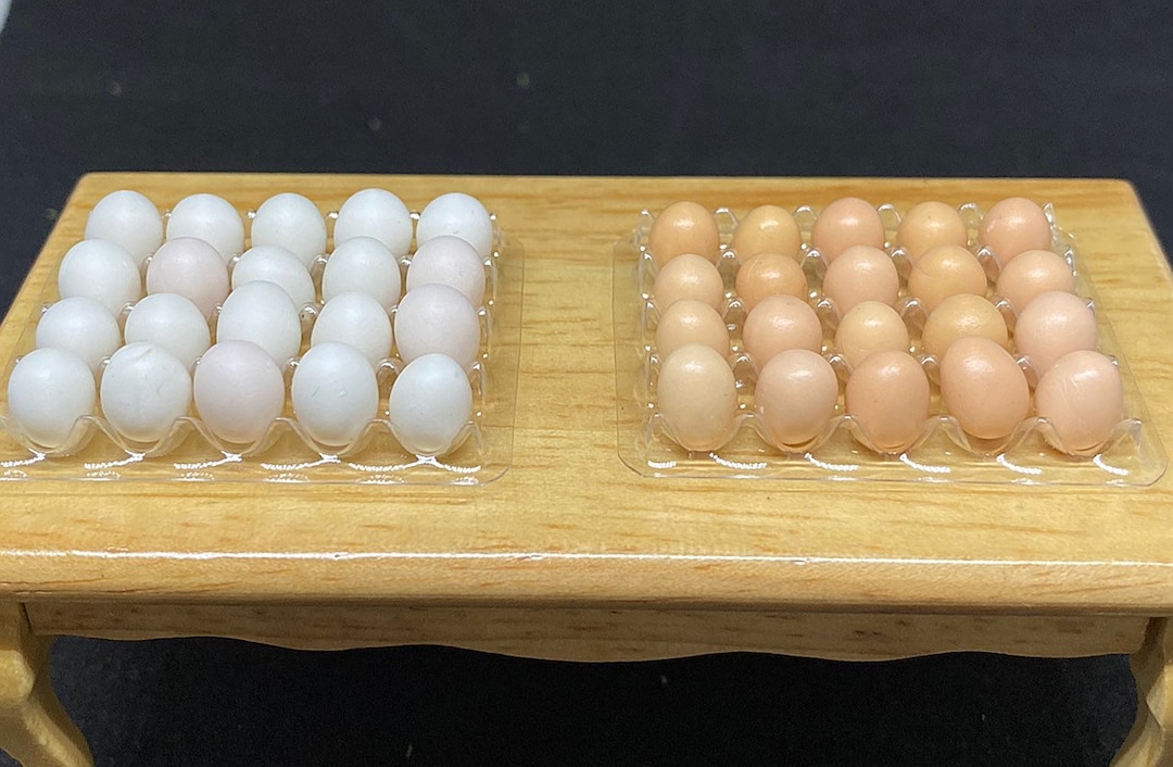 20pcs.miniature Eggs in Clear Plastic Egg Tray,miniature Eggs,dollhouse ...