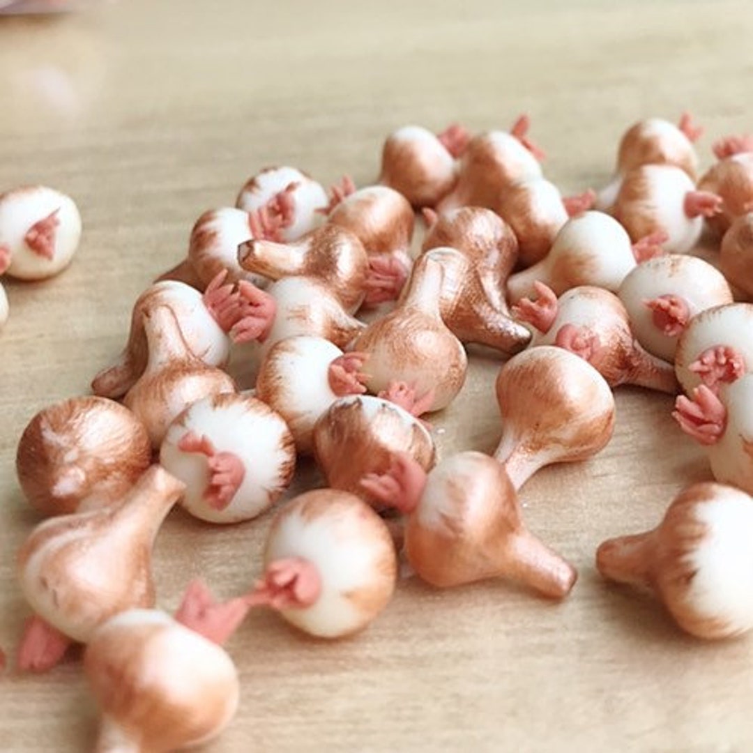 Miniature Onion,miniature Vegetables,dollhouse Onion,dollhouse ...