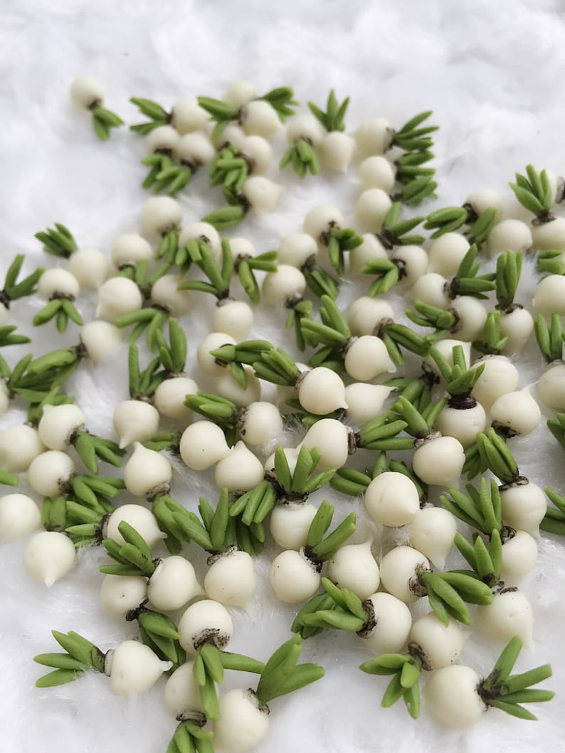 10 or 20 Pcs. Miniature White Radish Miniature White Turnip - Etsy