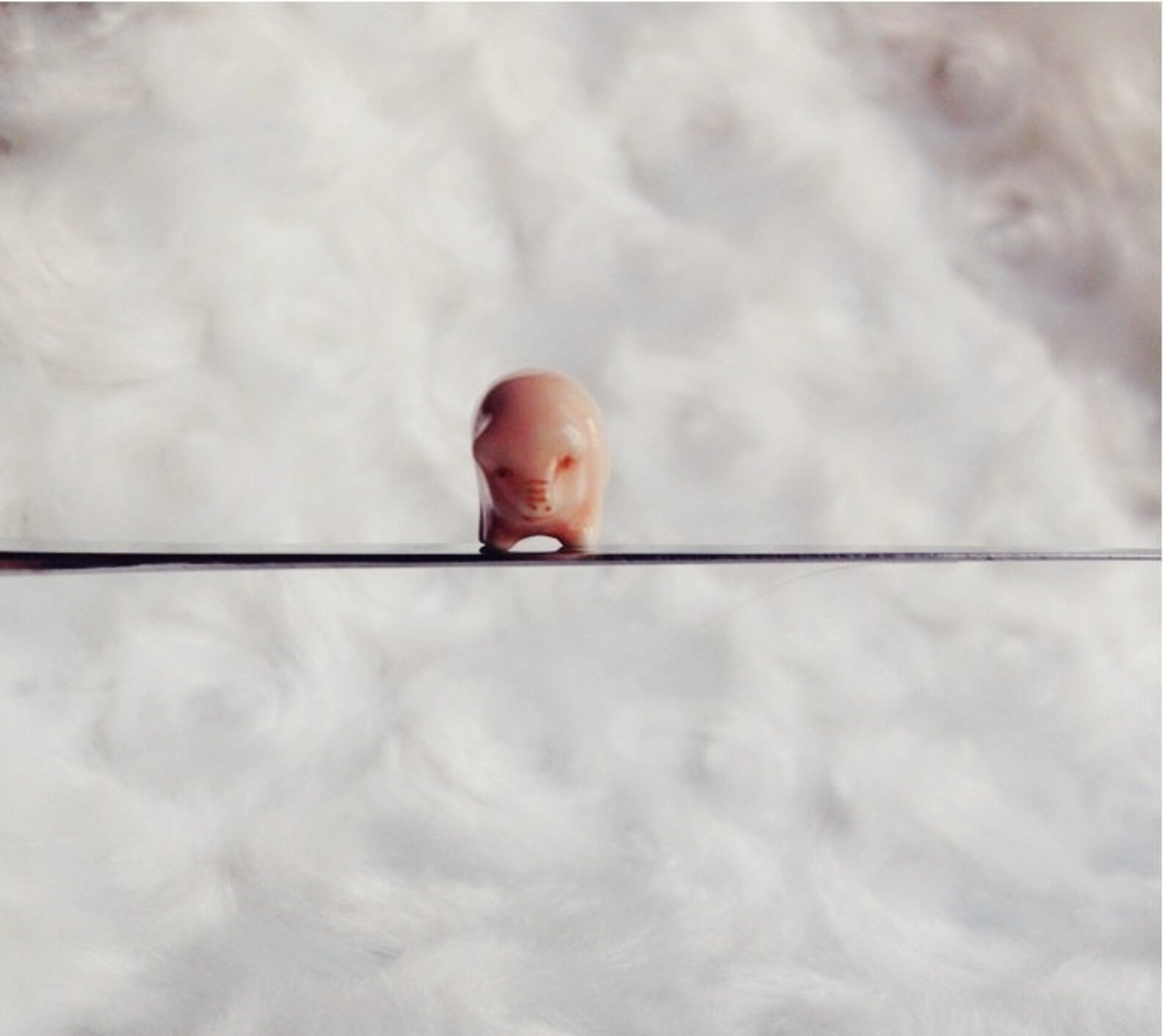 Miniature Pig,miniature Piggy,miniature Animal,tiny Pig,animal ...