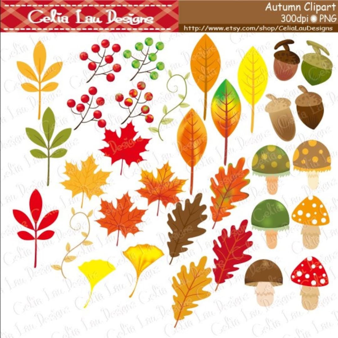 Autumn Leaves Digital Clipart. Fall Clipart. Leaf Clipart , Acorn ...