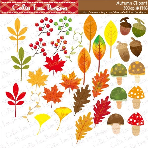Acorn Clipart - Etsy