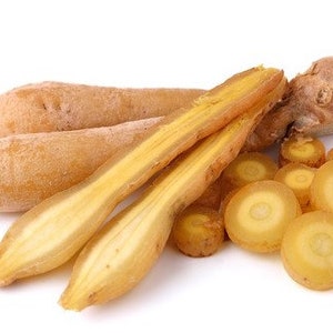 Live Chinese Keys Plant, Boesenbergia Rotunda, Fingerroot Live Plant ...