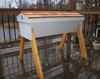 Observation Hive - Etsy