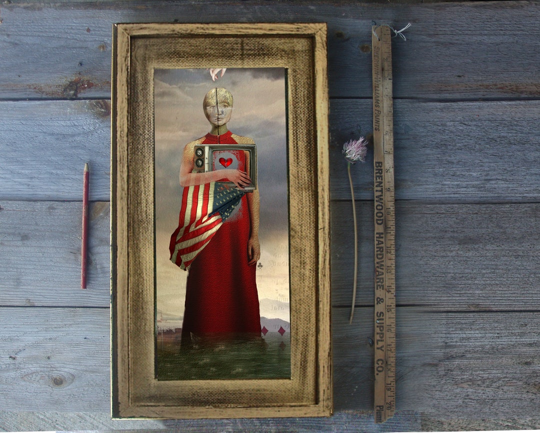 American Patriot/13x5 Framed/mixed Media/ Photography/ Limited Edition ...