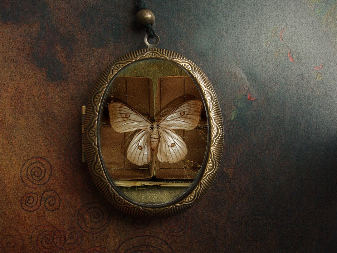 Butterfly Locket/ Rustic Butterfly Locket - Etsy