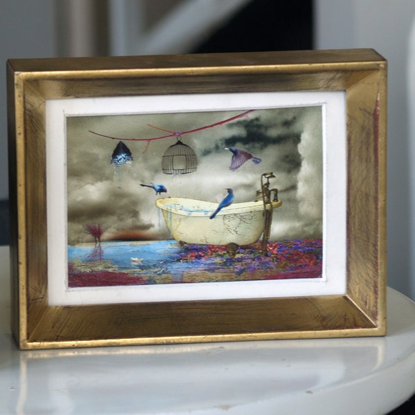 Bird Bath - Etsy