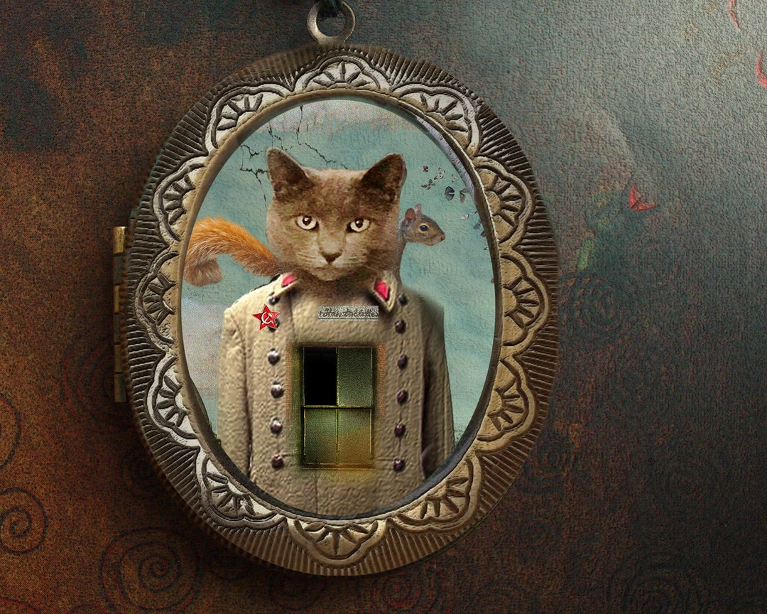 Cat Locket/cat Lovers Gift/rustik Locket With Cat/ Cat Jewelry/cat ...