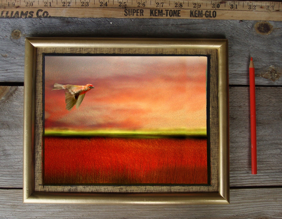 Red Bird/9x7 Framed/ Original Art/ Limited Edition/ Mixed Media ...