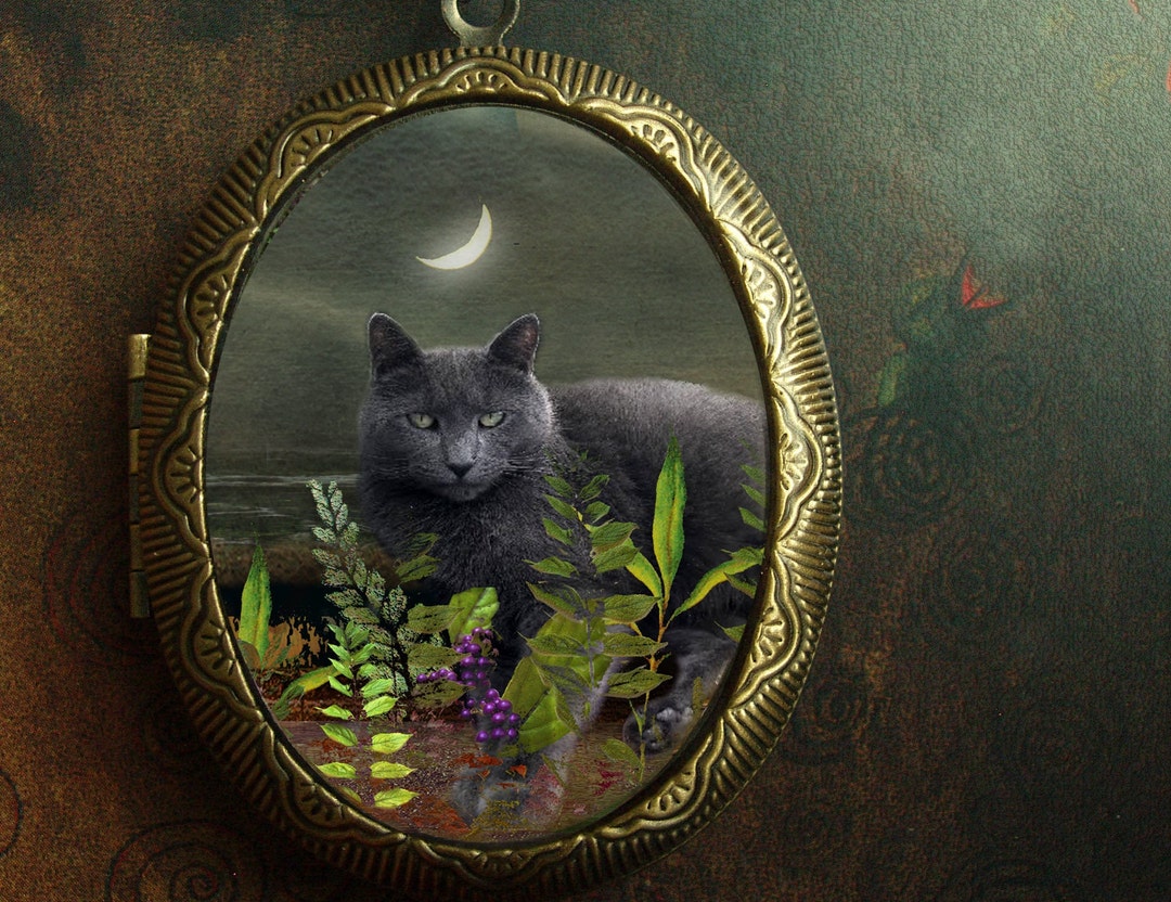 Cat Locket/cat Lovers Gift/rustik Locket With Cat/ Cat Jewelry/cat ...