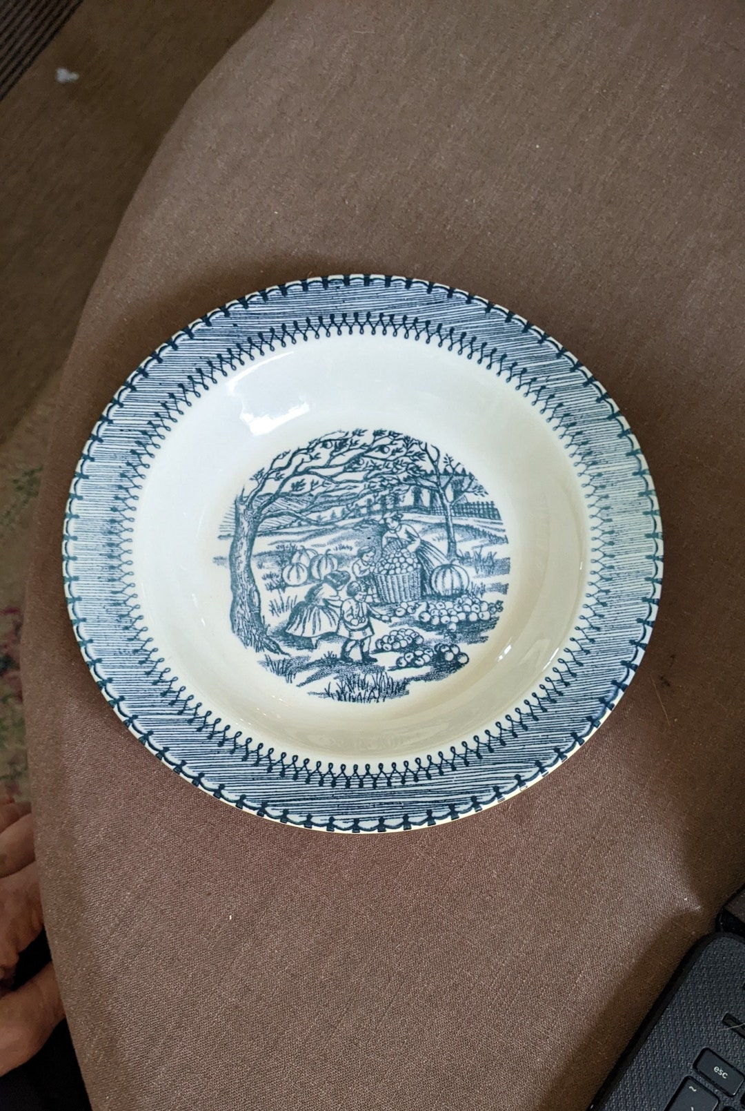 Edwin Knowles Circa 1960's Country Life 8-1/4" Rim Soup Bowl. Excellent ...