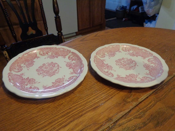 Pair Circa 1970's Syracuse China Pattern SY450 Plates | Etsy