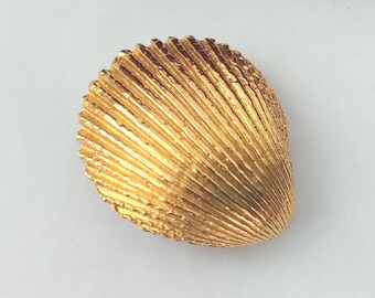 Vintage Shell Brooch | Etsy