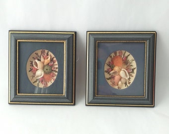 Shell Shadow Box | Etsy