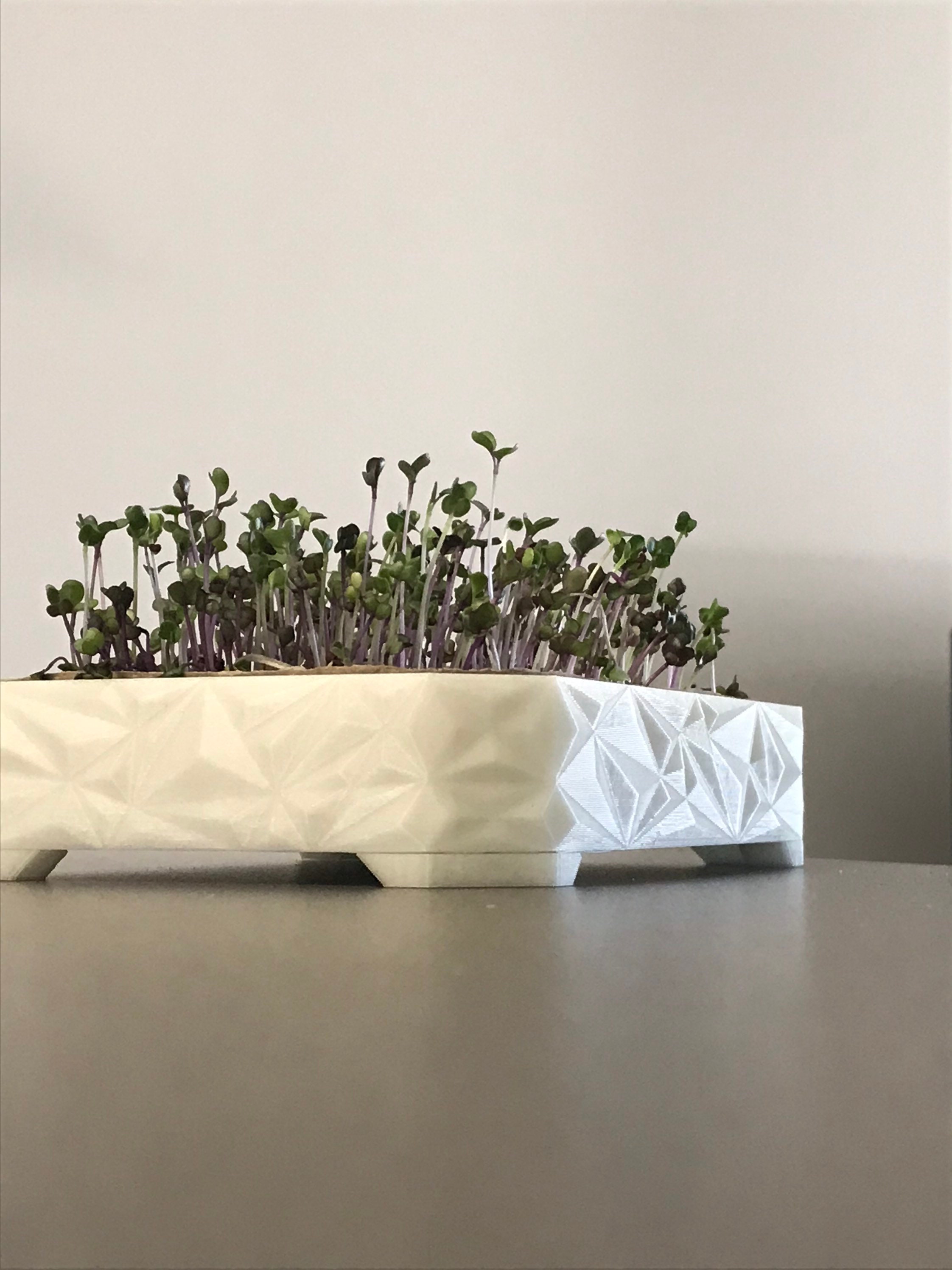 3D Printed Geometric Modern Tray / Decorative Tray / Catch | Etsy