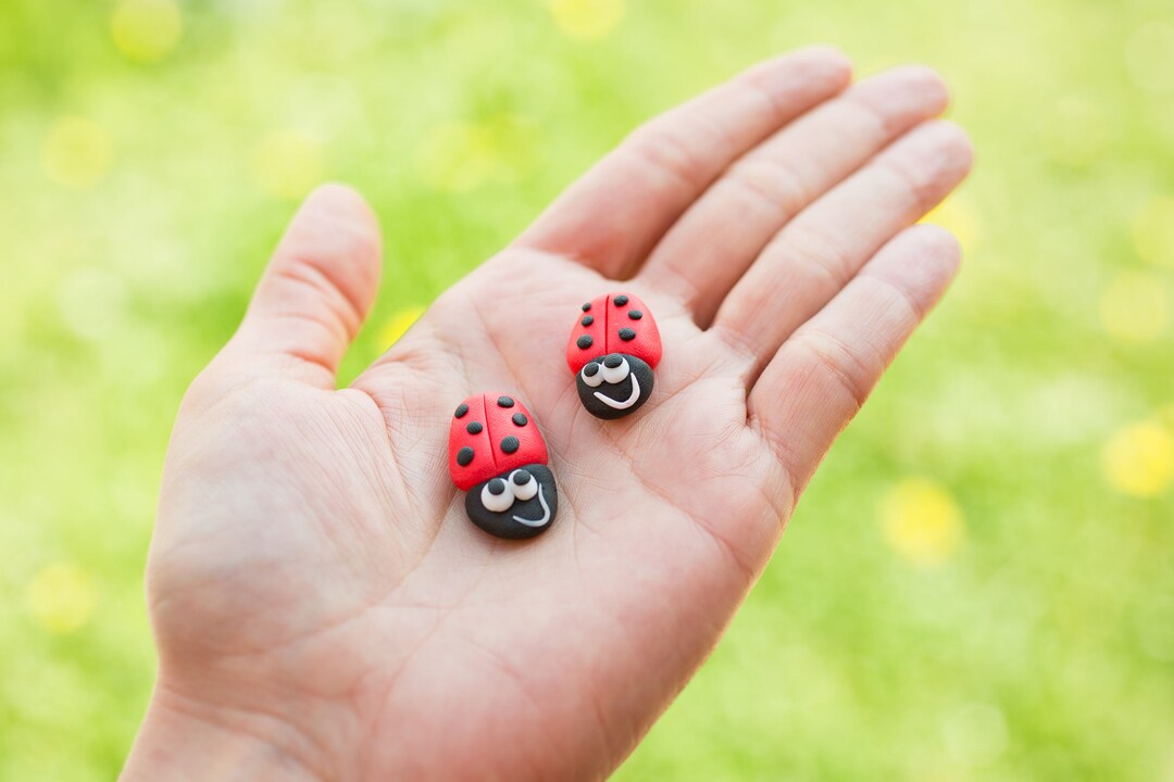 Ladybird Magnet, Handmade Magnet Ladybug, Cute Polymer Clay Magnet ...