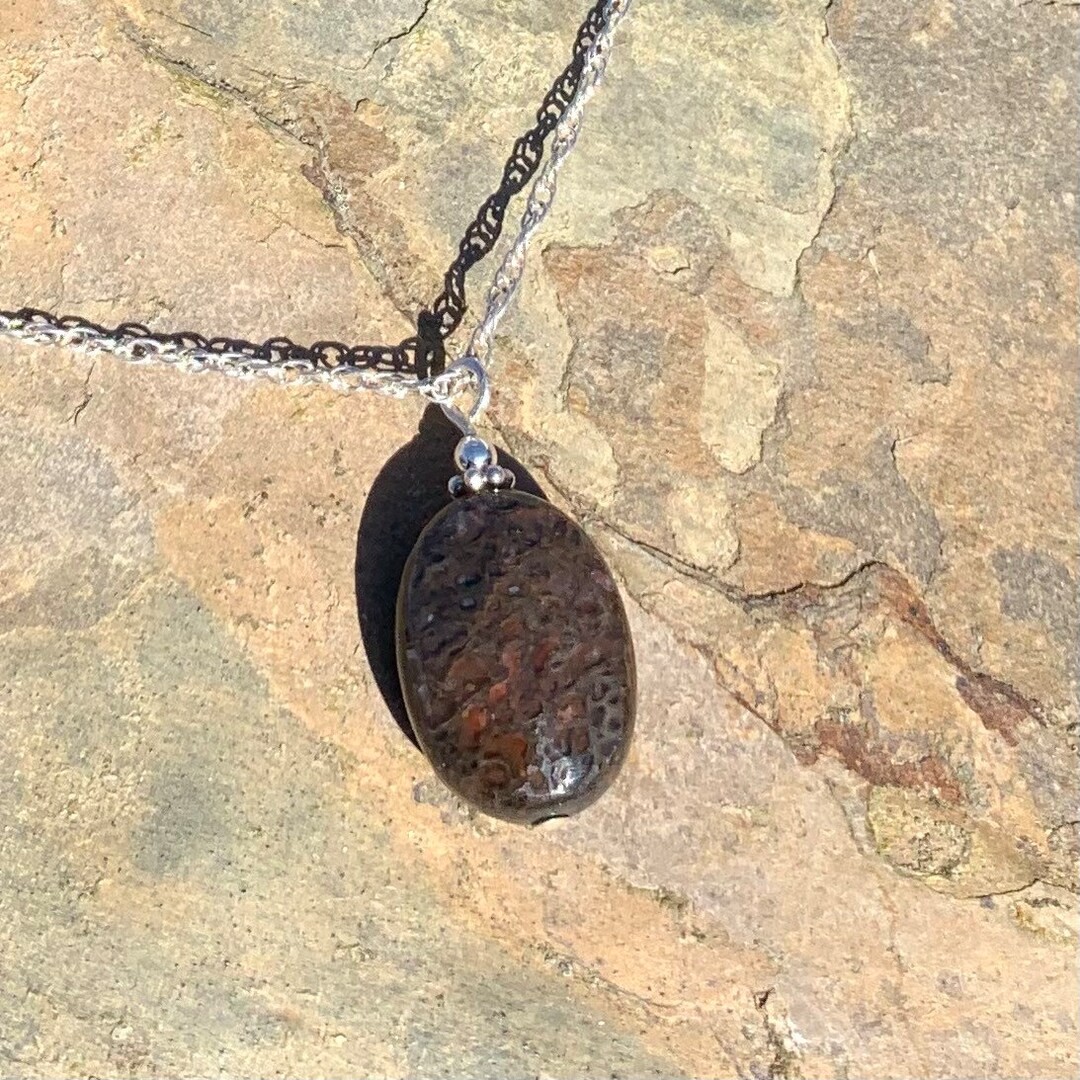 Agatized Dinosaur Bone / Dinosaur Bone Necklace / Dino Bone Necklace ...