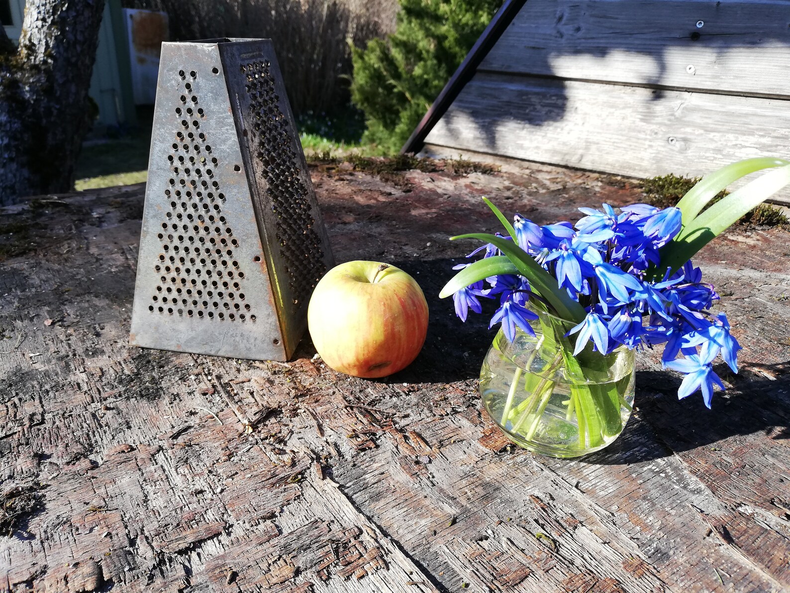 Vintage Nutmeg Grater, Citrus Zester, Hand-held Old Metal Tool French ...