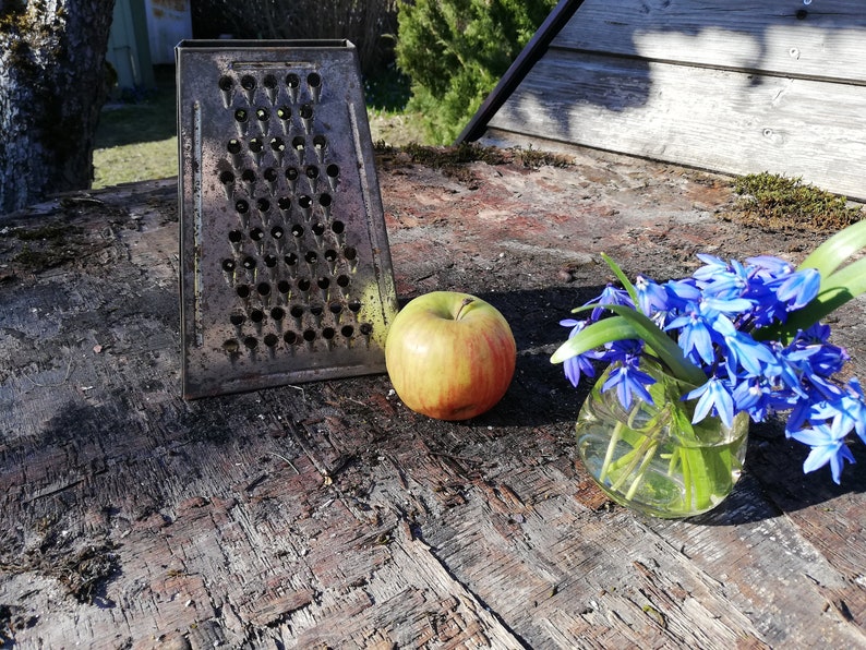 Vintage Nutmeg Grater, Citrus Zester, Hand-held Old Metal Tool French ...