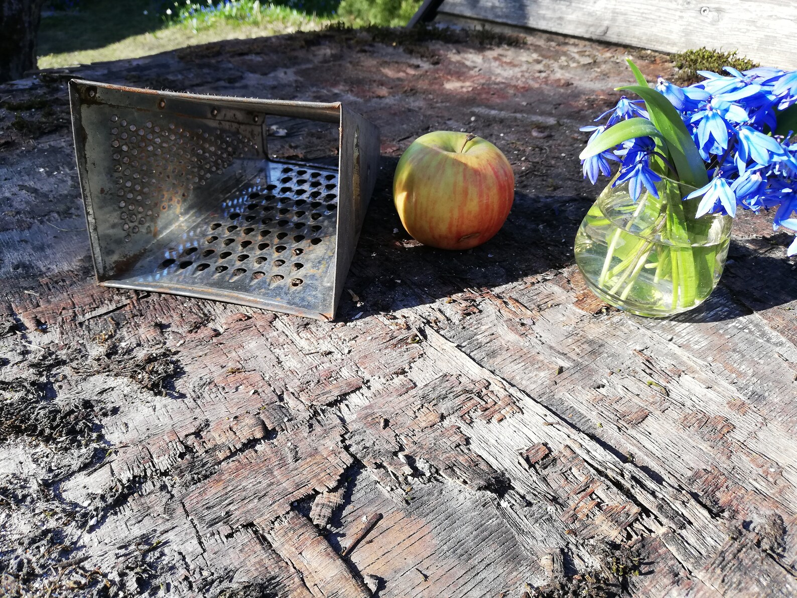 Vintage Nutmeg Grater, Citrus Zester, Hand-held Old Metal Tool French ...