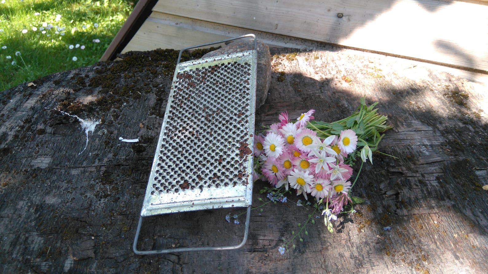 Vintage Nutmeg Grater, Citrus Zester, Hand-held Old Metal Tool French ...