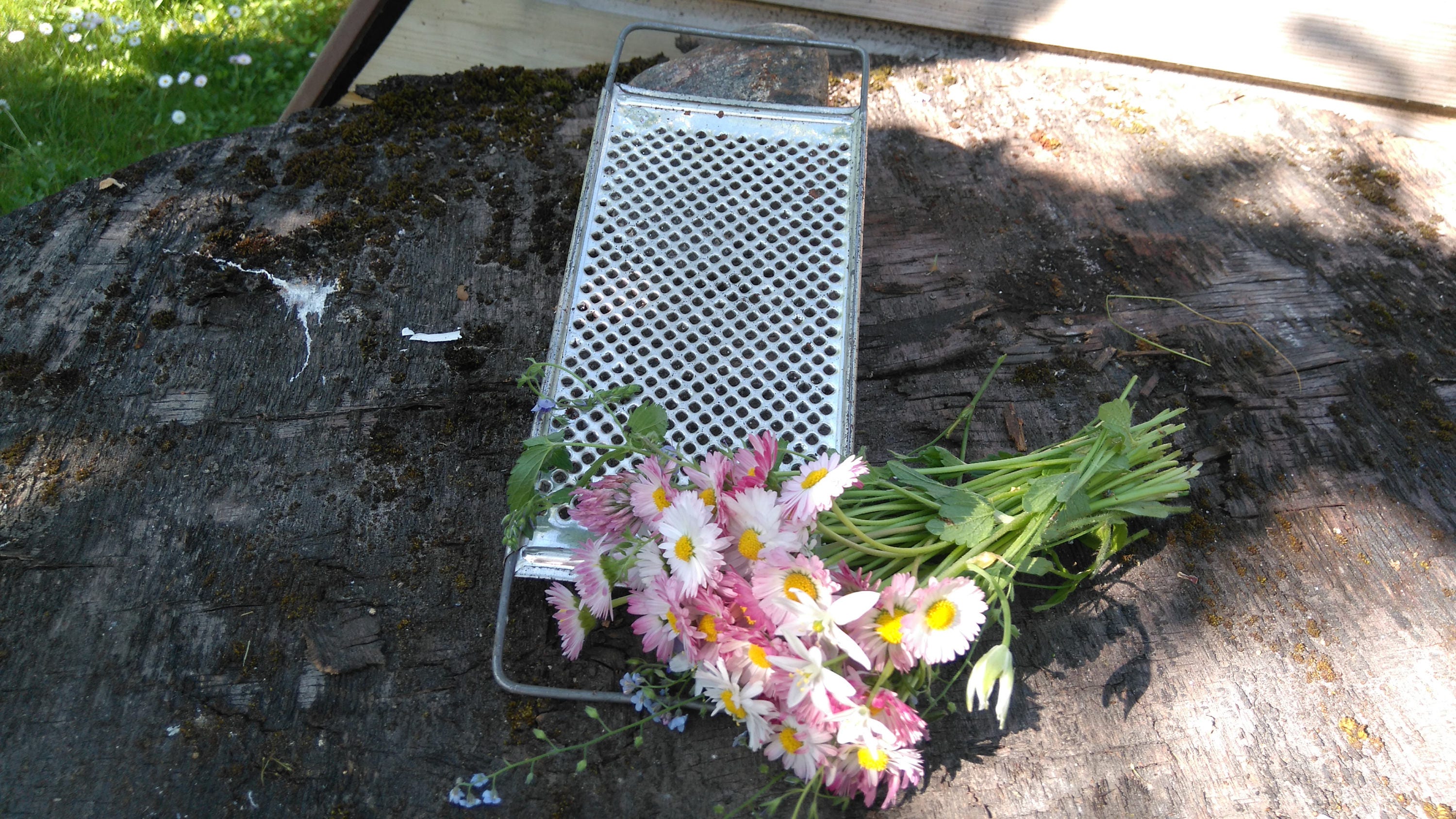 Vintage Nutmeg Grater, Citrus Zester, Hand-held Old Metal Tool French ...