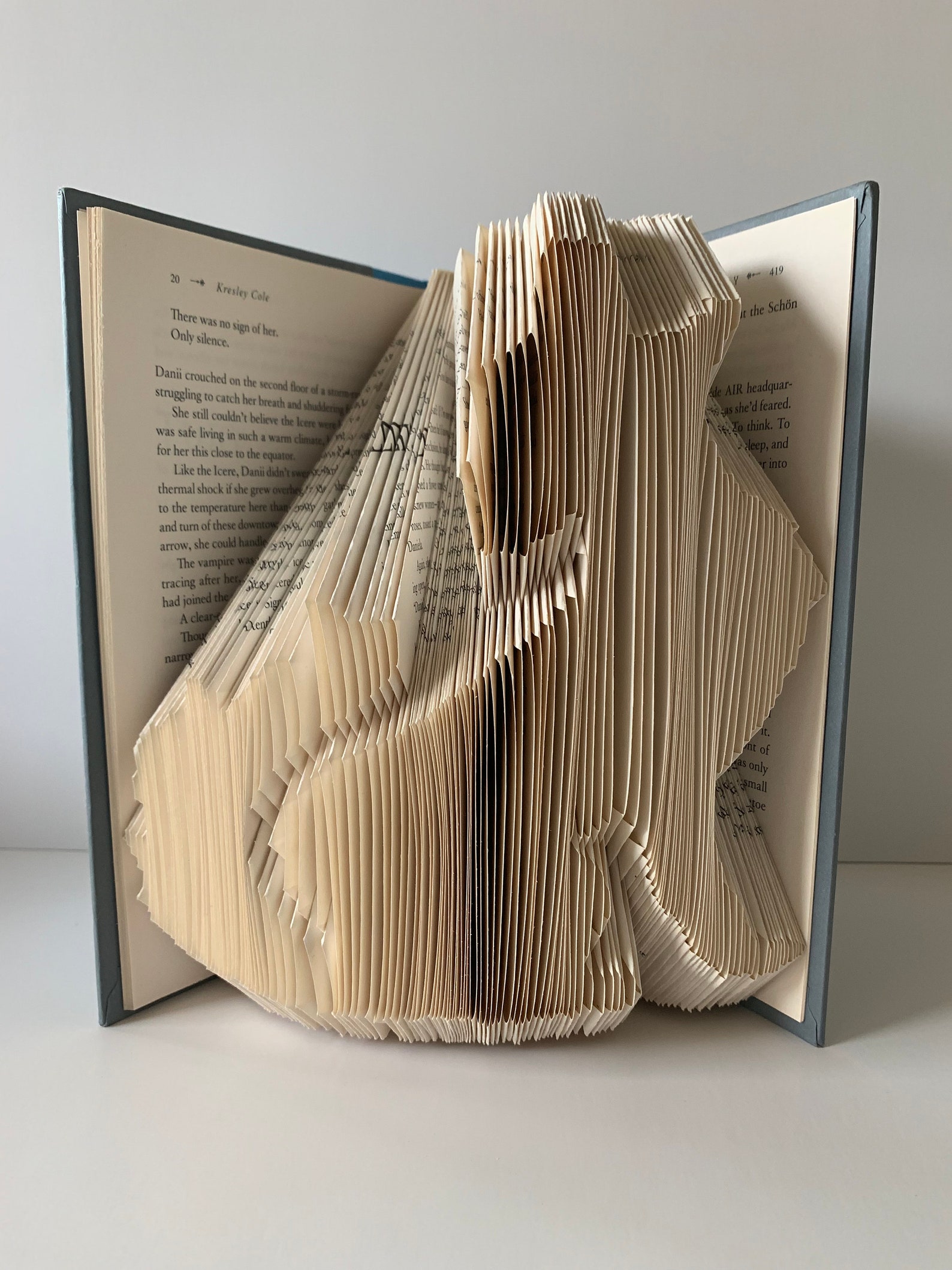 Coyote Pattern, Book Folding Pattern, Tried and Tested, Mark and ...