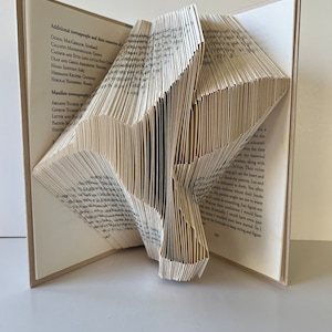 Book Fold Pattern, Pattern Book, Fold Your Own Book, Tried and Tested ...