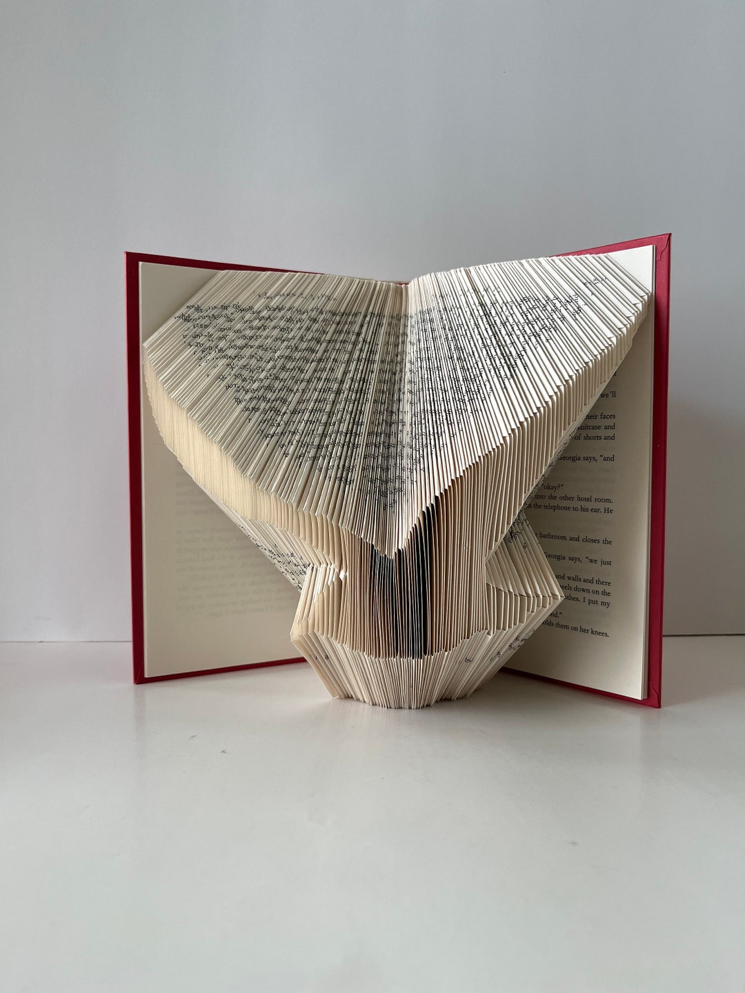Seagull Book Pattern - 200 Folds 400 Pages - Mark and Measure - Etsy