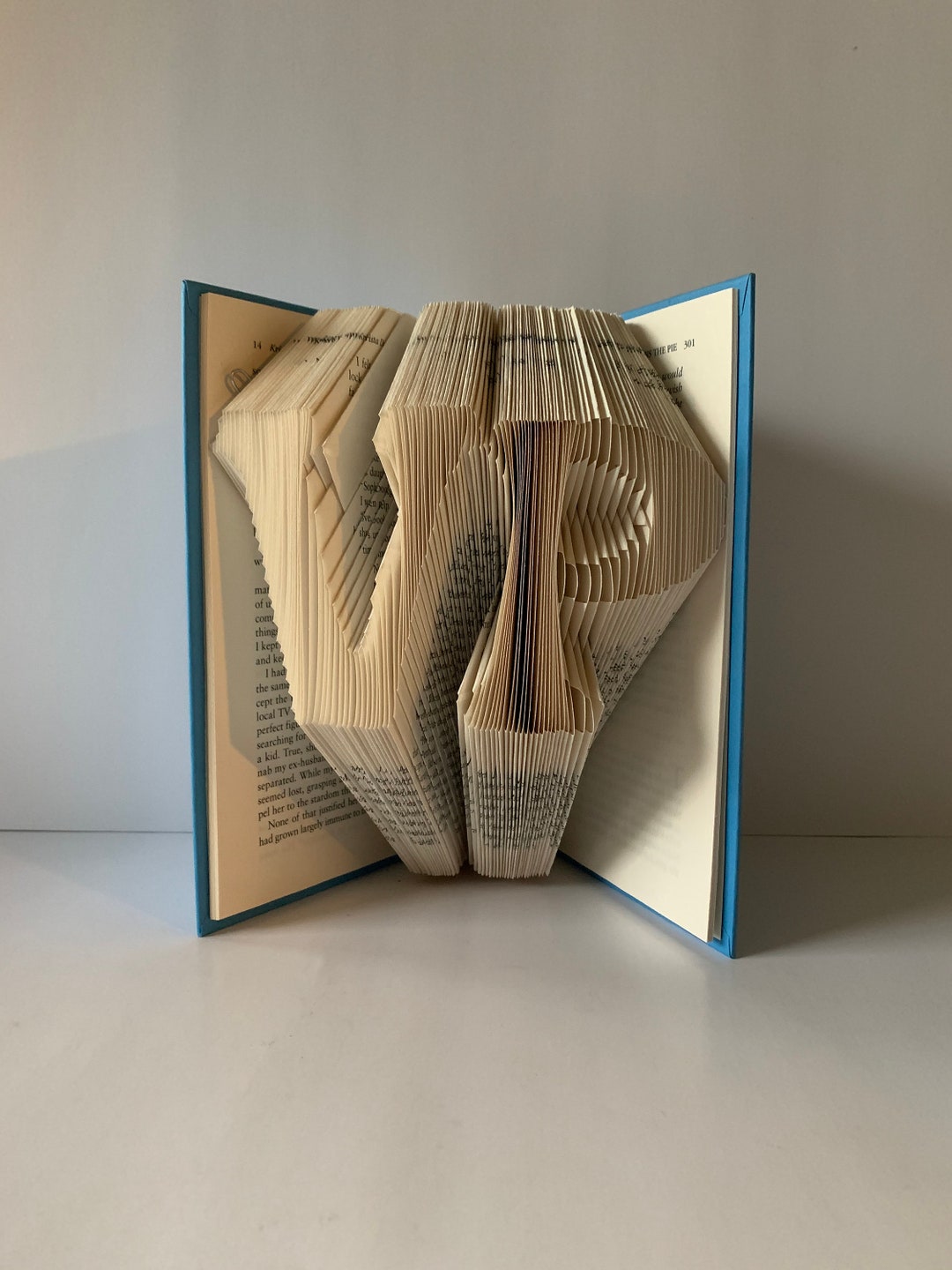 VP Book Fold, Vice President, Promotional Gift, Retirement Present ...