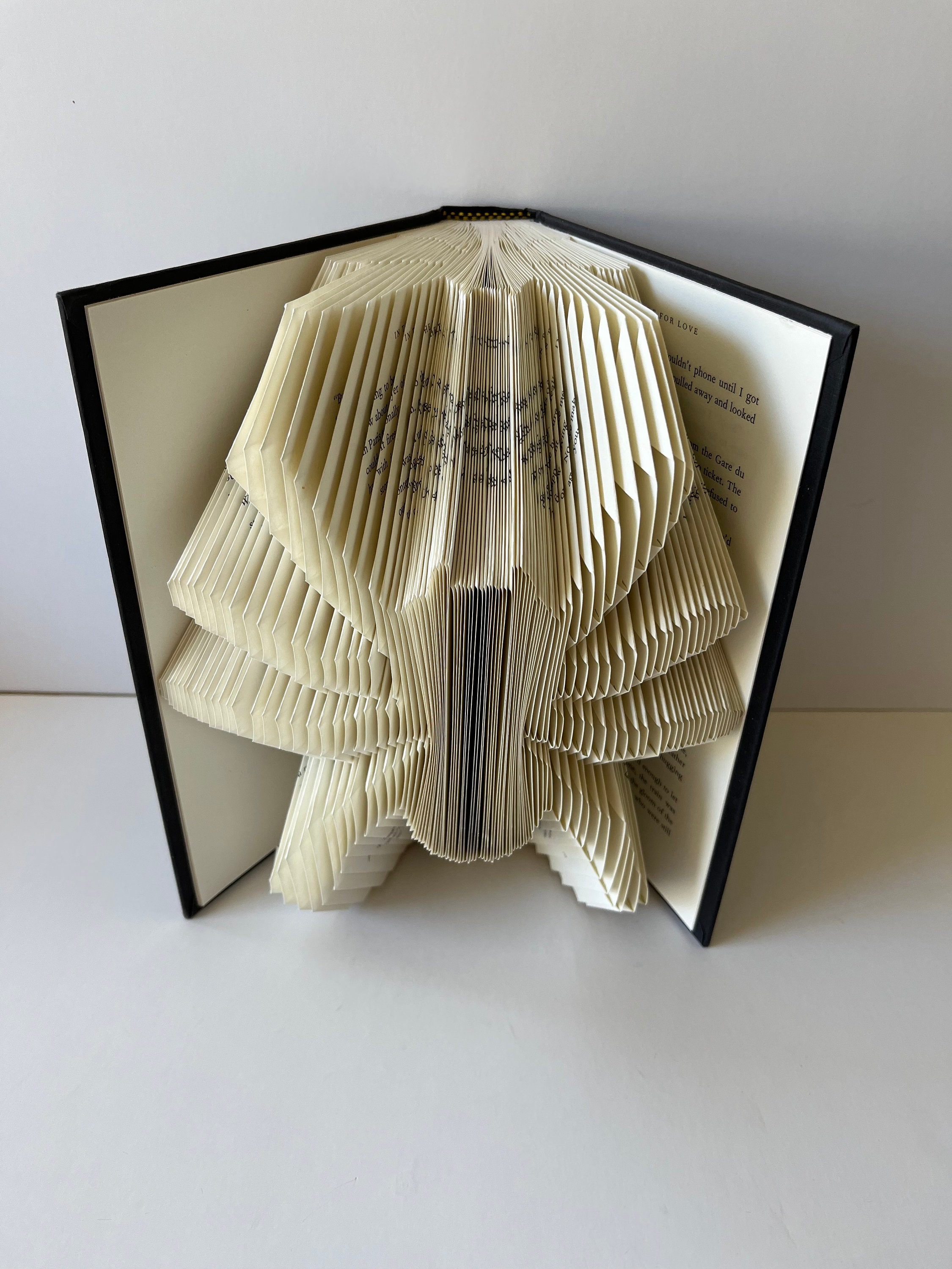 Book Fold Pattern, Pattern Book, Book Sculpture, Tried and Tested, Mark ...