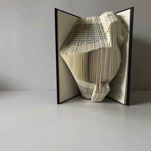 Duck Book Pattern Book Folding Pattern Simple Pattern Tried and Tested ...