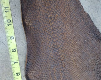 Fish Skin Leather | Etsy