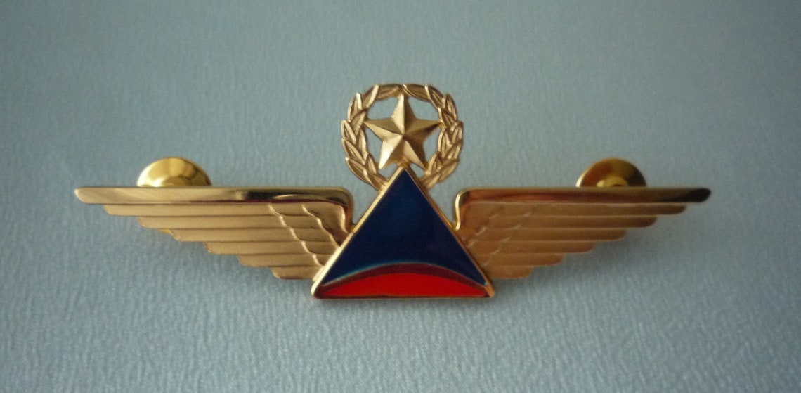 DELTA AIR LINES Pilot Captain Uniform Wings Badge - Etsy