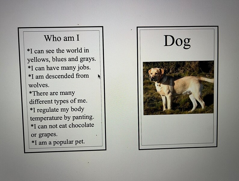 Who Am I Animal Cards for Montessori 3-6 Class - Etsy