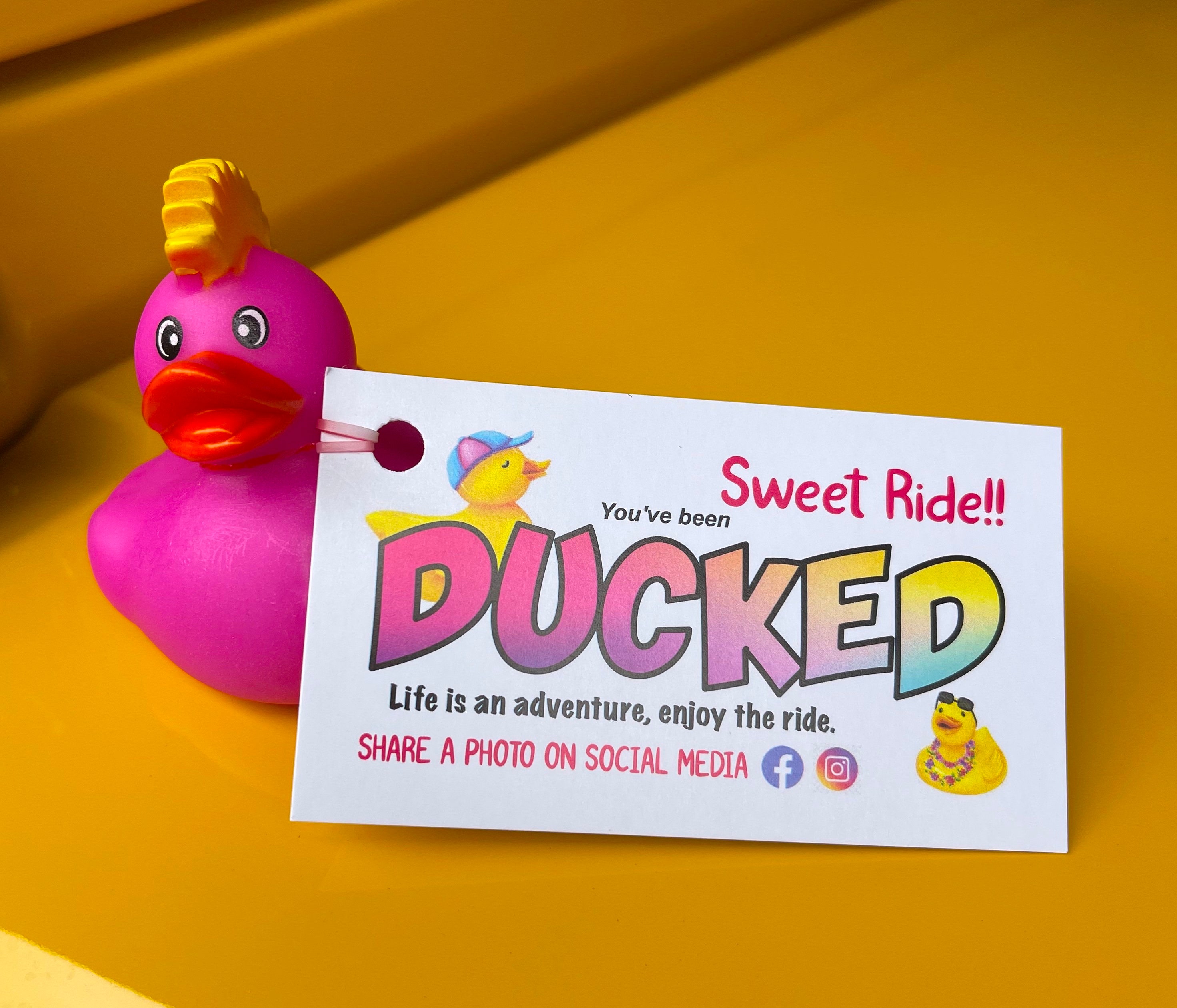 Duck Duck Game Cards With Ducks and Bands - Etsy