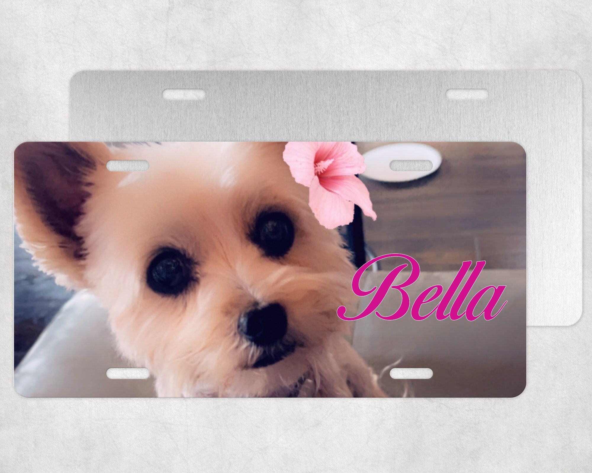 Custom Photo Aluminum License Plate | Personalized Car Tag - Etsy