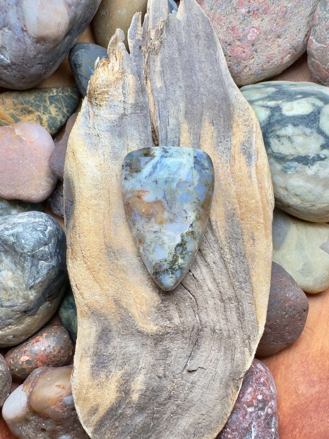 Coprolite fossilized Dinosaur Poop Cabochon - Etsy