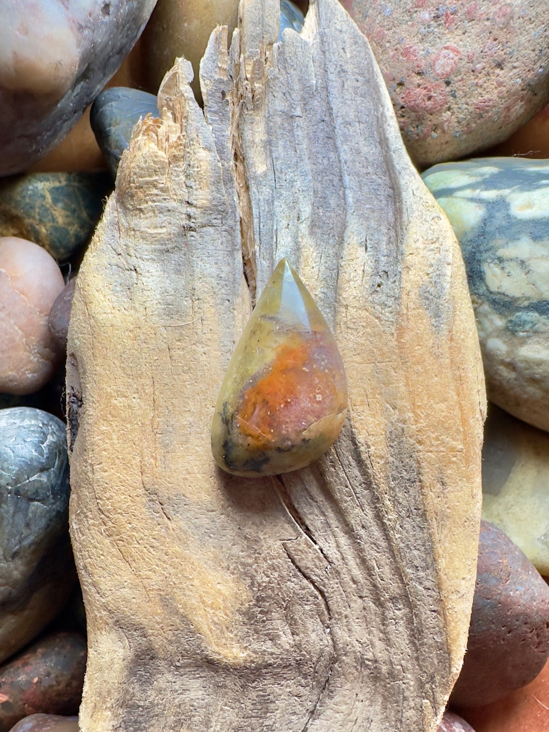 Coprolite/fossilized Dinosaur Poop Cabochon - Etsy