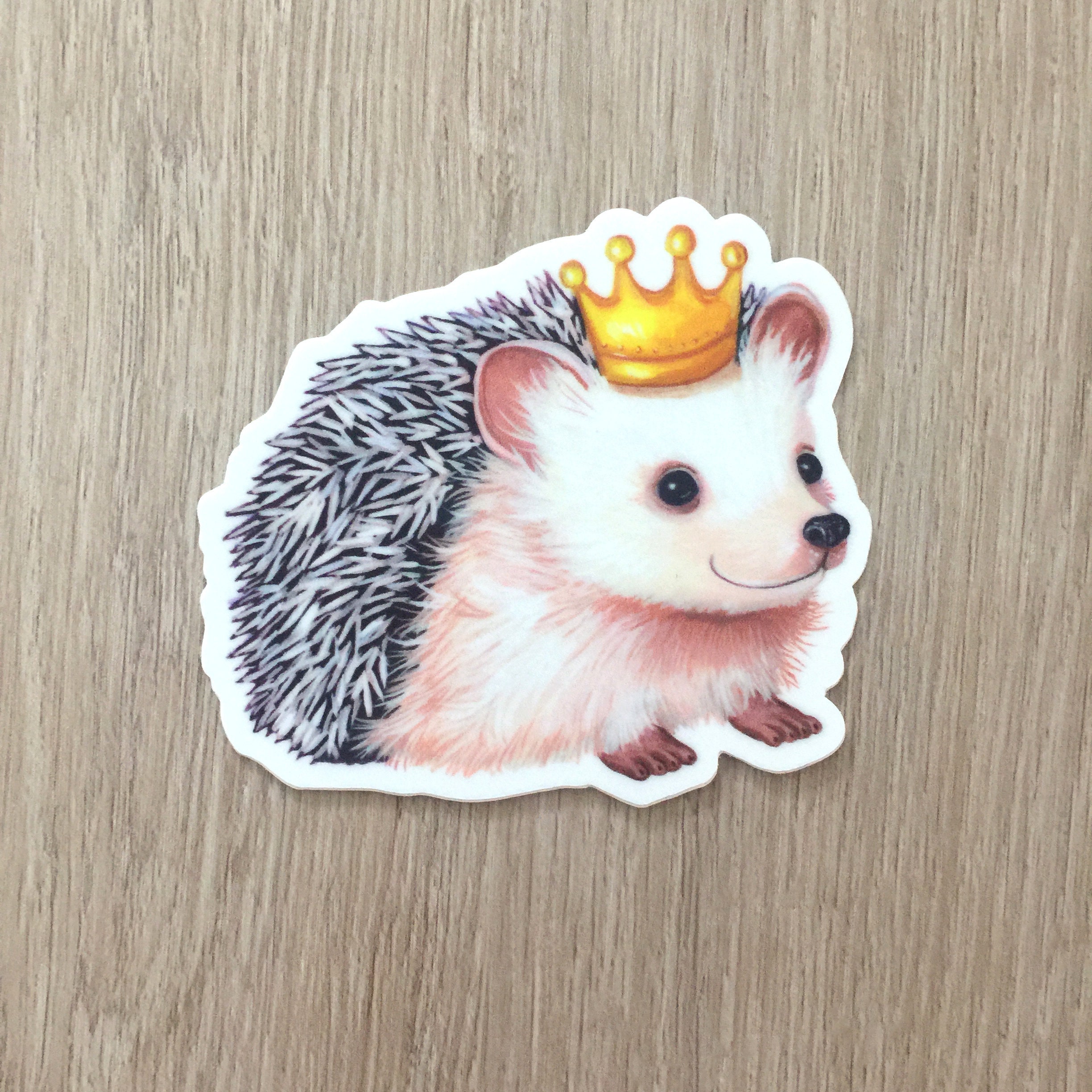 Hedgehog Vinyl Sticker Die Cut Sticker Hedgehog Die Cut - Etsy