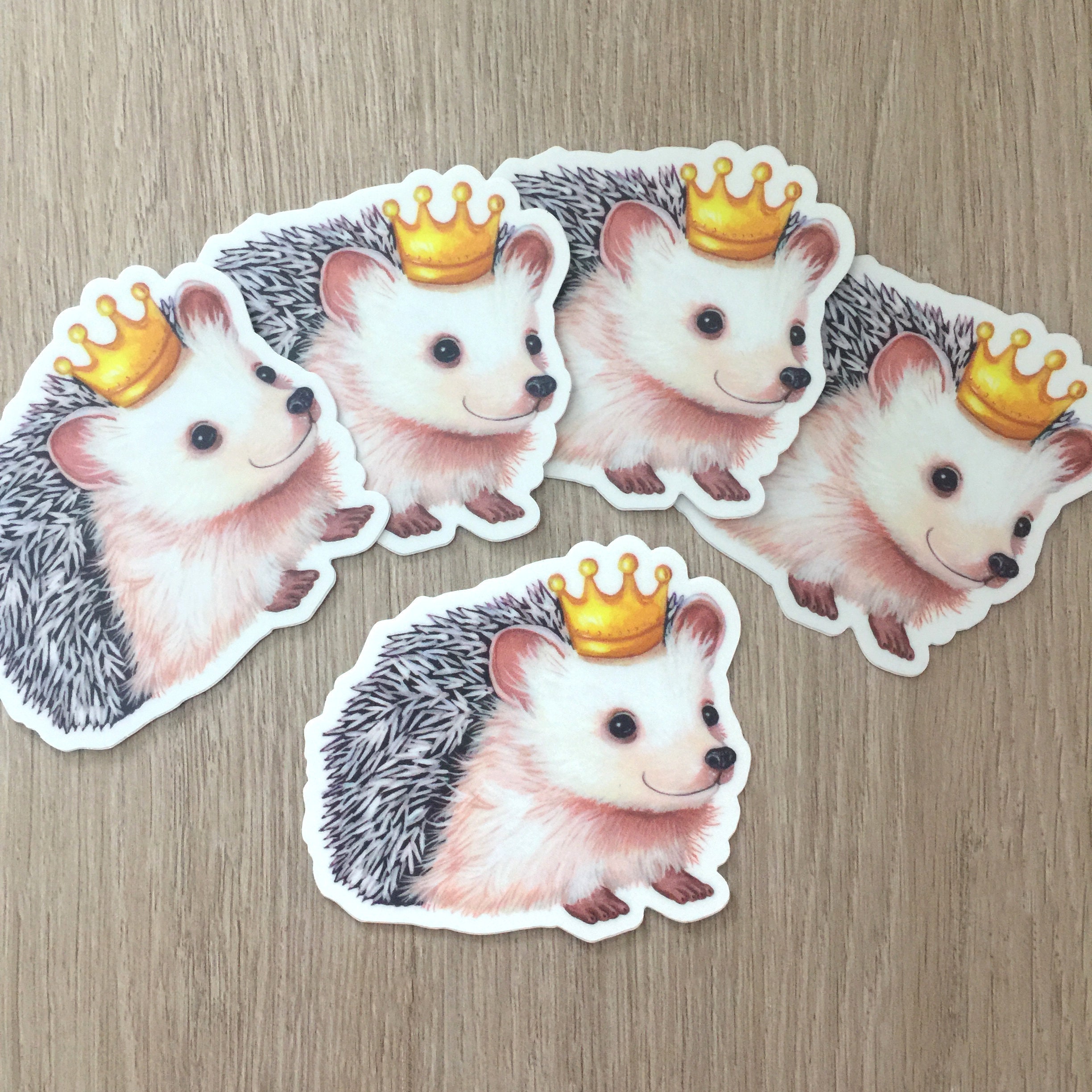 Hedgehog Vinyl Sticker Die Cut Sticker Hedgehog Die Cut - Etsy