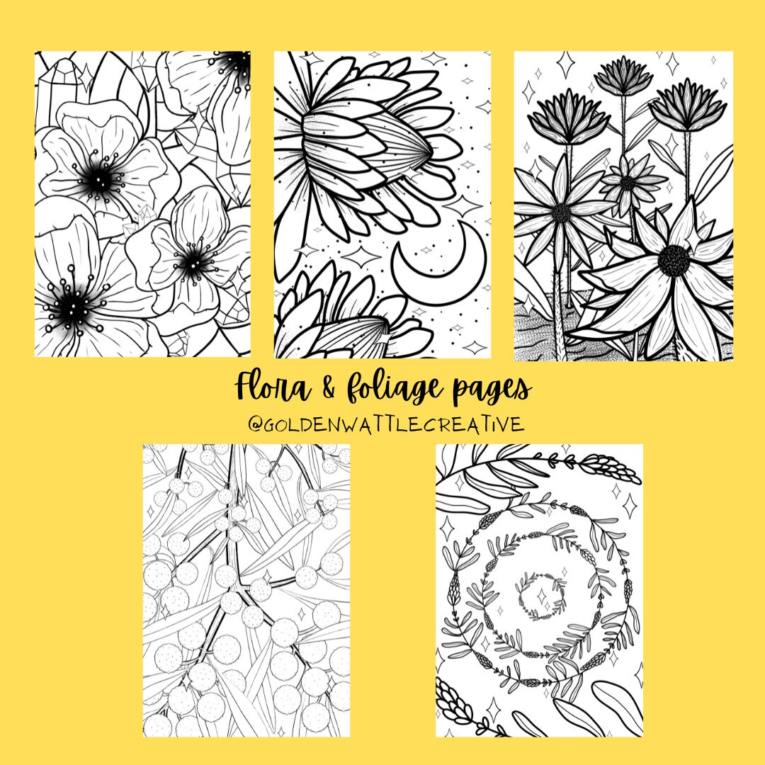 Flora and Foliage Colouring in Pages: Digital Download - Etsy