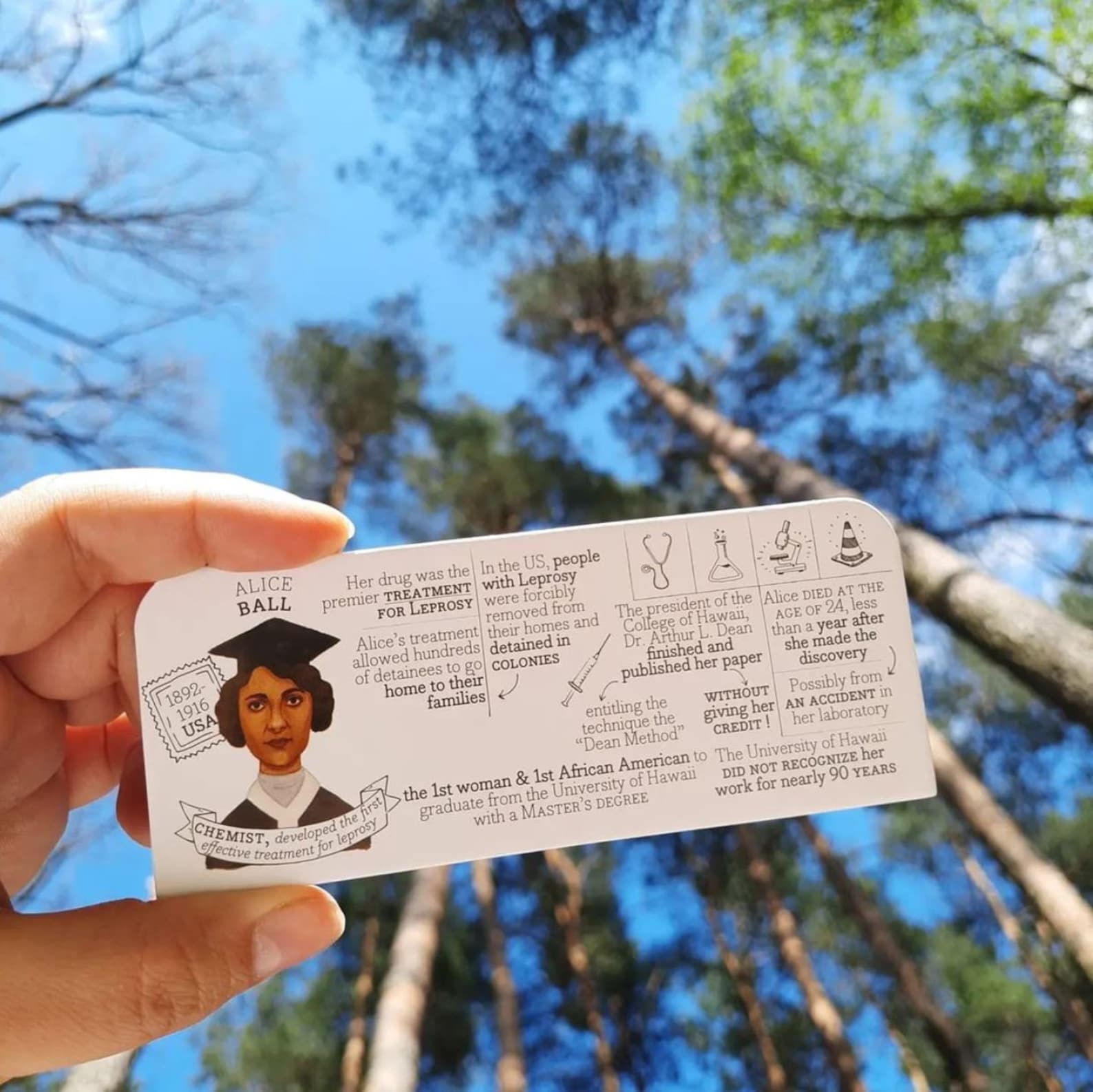 Who's She Board Game About Amazing Women's Stories - Etsy