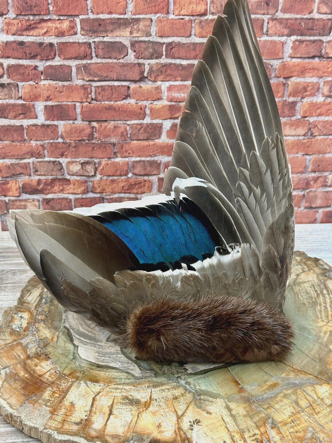 Lineage, Mallard Wing Medicine Fan, Shaman Fan - Etsy