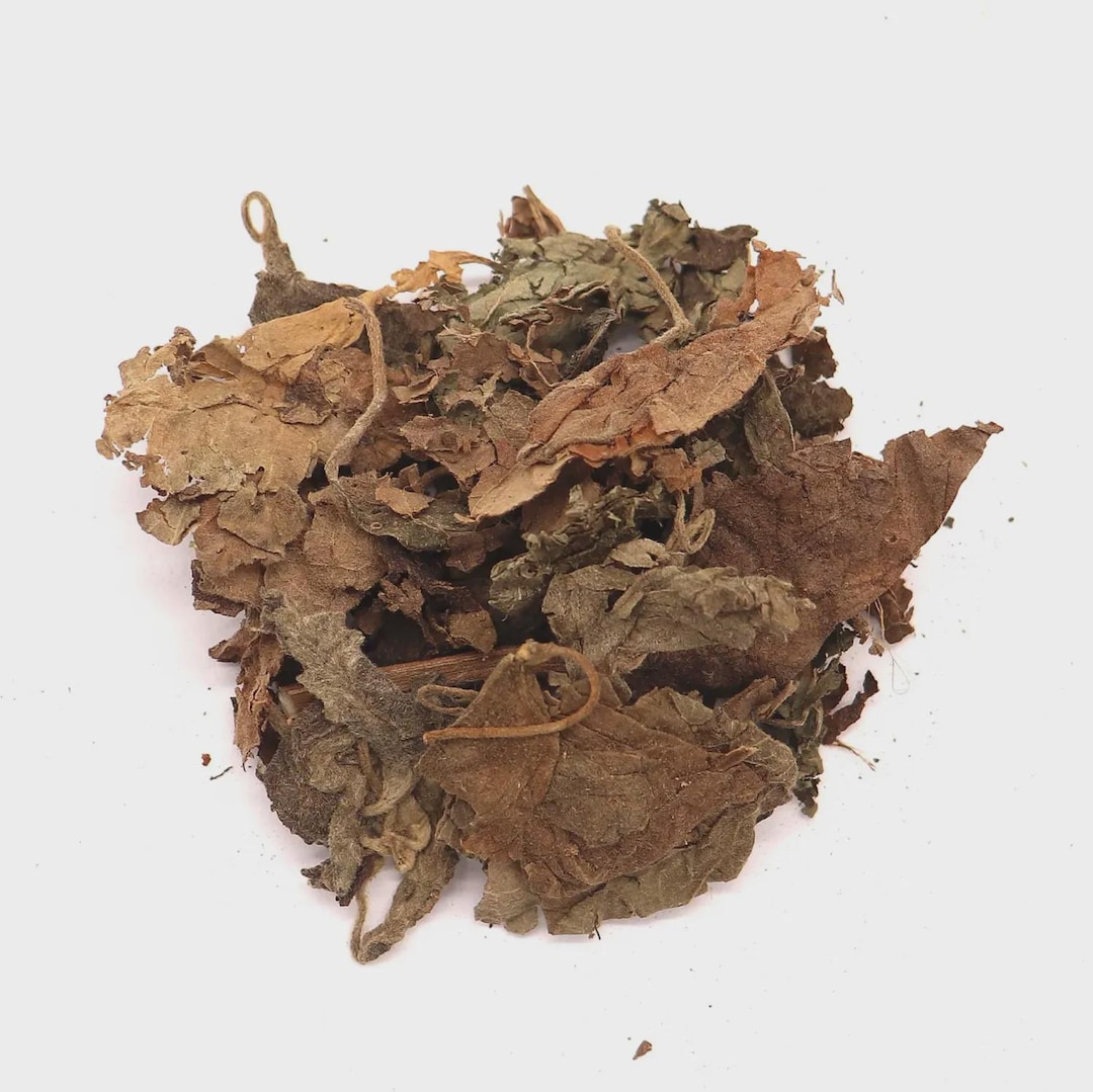 Patchouli Leaf - Etsy